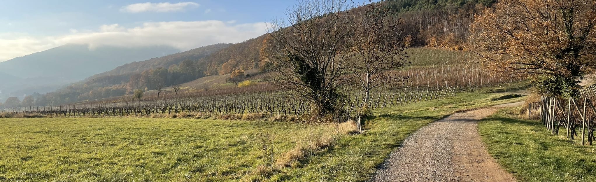 Soultz-Haut-Rhin - Jungholtz loop: 22 Reviews, Map - Haut-Rhin, France ...