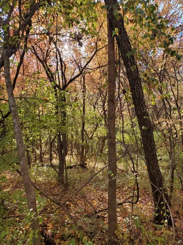 Best Hikes and Trails in Edwardsville | AllTrails