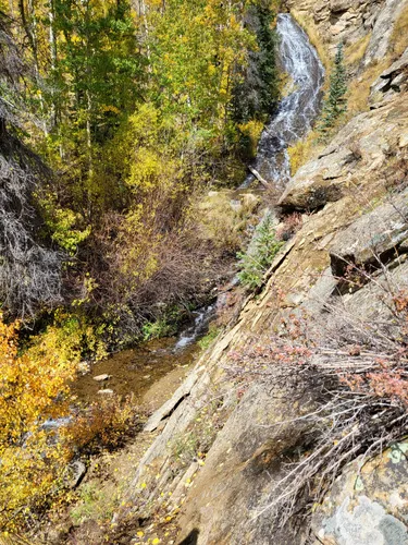 10 Best Short Trails in Rio Grande National Forest, Divide Ranger ...