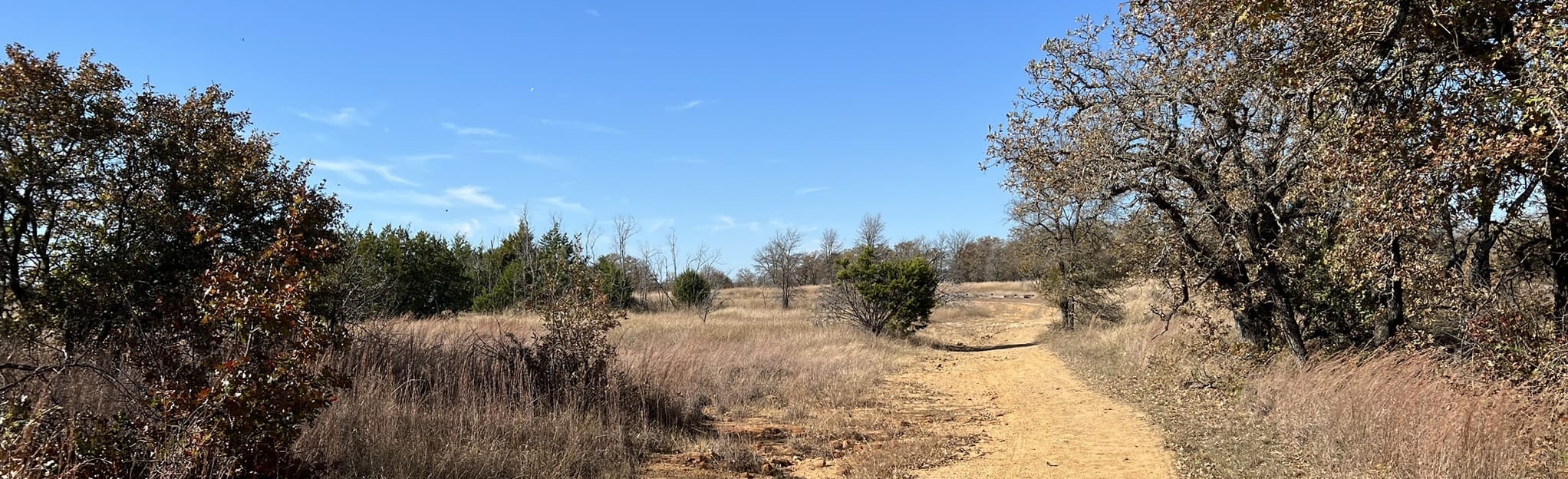 Cross Timbers Back Country Trail Loop: 246 Reviews, Map - Texas | AllTrails