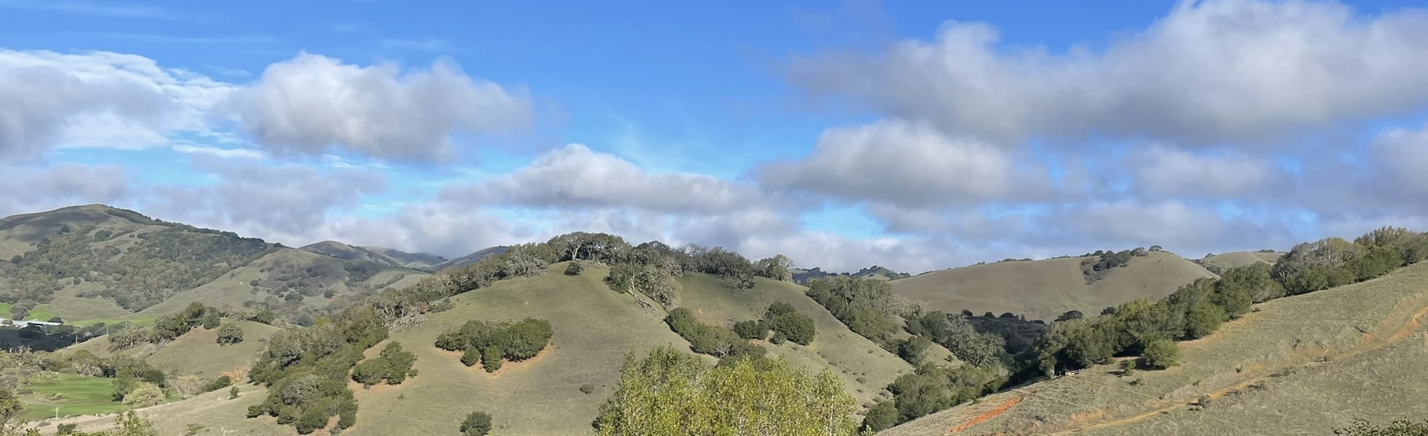 Bay Area Ridge Trail: Indian Tree Open Space, California - 255 Reviews ...
