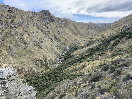 Best Hikes and Trails in Pisa Conservation Area | AllTrails