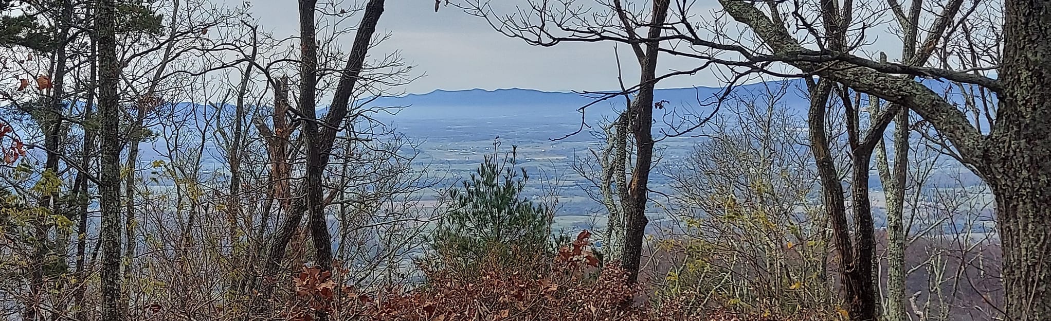Neighbor Mountain via Neighbor Mountain Trail: 98 Reviews, Map ...