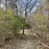 Manhattan River Trail, Kansas - 148 Reviews, Map | AllTrails