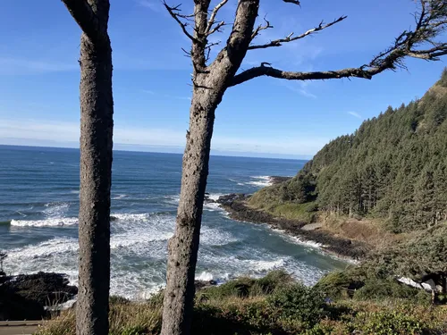 10 Best Hikes and Trails in Cape Perpetua Scenic Area | AllTrails