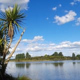 Kainui Lake Loop, Waikato, New Zealand - 99 Reviews, Map | AllTrails