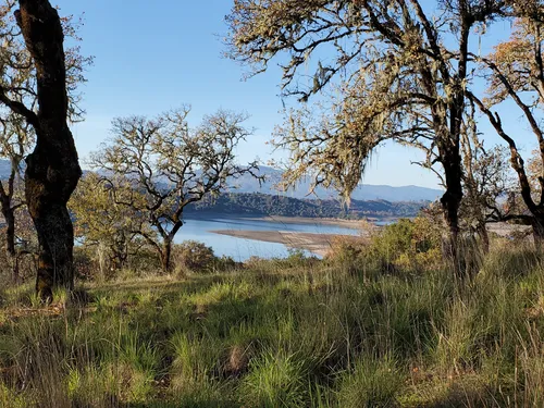 10 Best Trails and Hikes in Ukiah | AllTrails