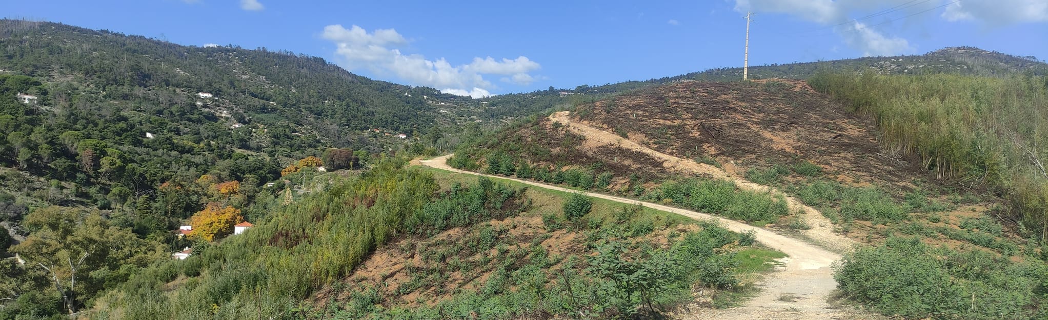 Caldas de Monchique - Faro, Portugal | AllTrails