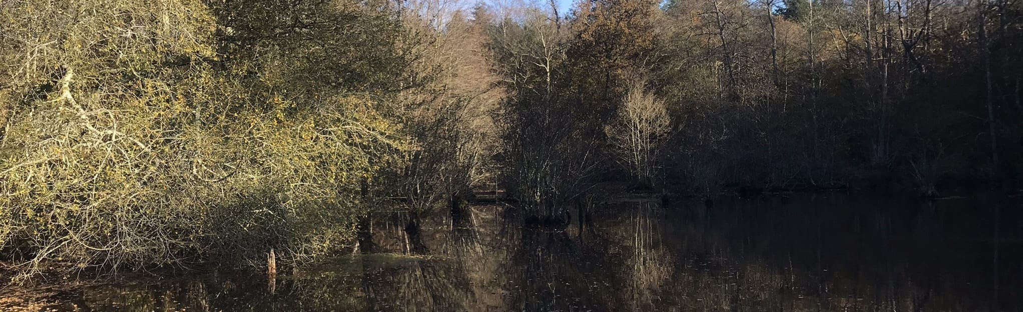 Marley Common Circular: 62 foto's - Surrey, Engeland | Wandelen - AllTrails