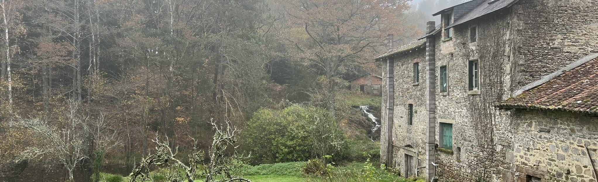 Boubon Forest Circuit: 11 Reviews, Map - Haute-Vienne, France | AllTrails