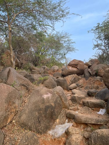 Best Hikes and Trails in Barda Wildlife Sanctuary | AllTrails