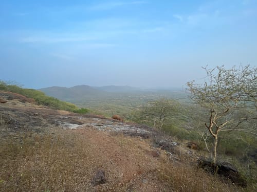 2023 Best Historic Site Trails in Ranavav | AllTrails
