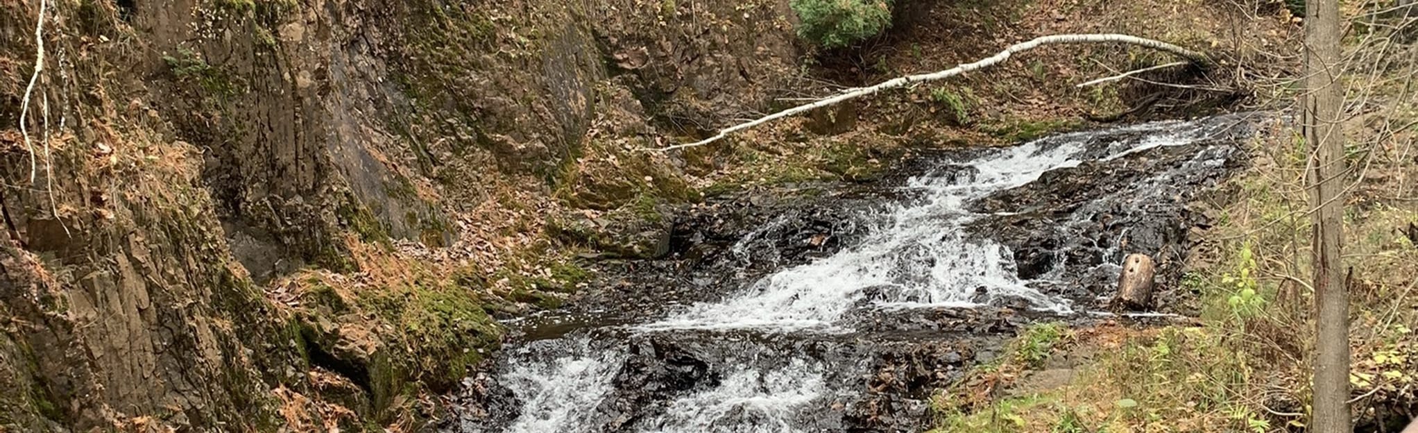 Congdon Park, Minnesota - 410 Reviews, Map | AllTrails