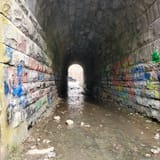 Bruce Trail: Niagara Section, Ontario, Canada - 396 Reviews, Map ...