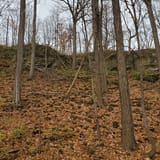 Bruce Trail: Niagara Section, Ontario, Canada - 396 Reviews, Map ...