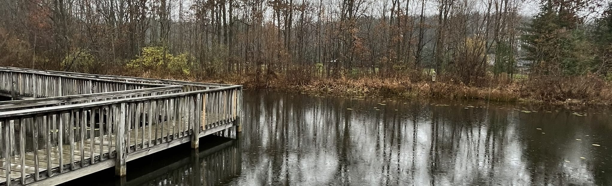 Gorman Nature Center: 227 Reviews, Map - Ohio | AllTrails