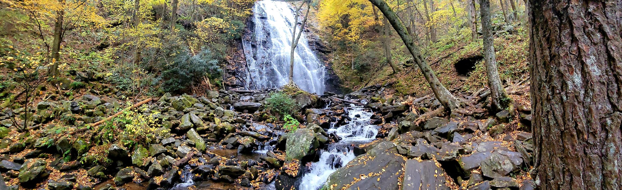 Crabtree Falls Trail, North Carolina - 4,265 Reviews, Map | AllTrails