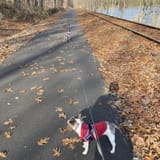 Maybrook Trailway - Dutchess Rail Trail, New York - 77 Reviews, Map ...