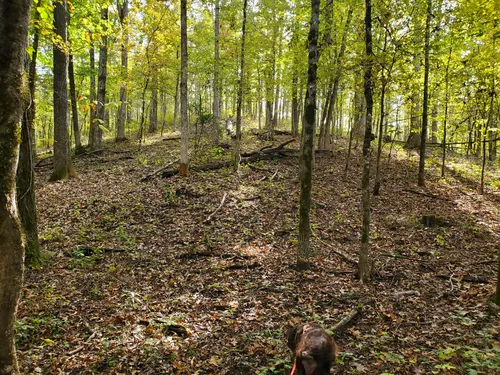 Best Views Trails in Union Point | AllTrails