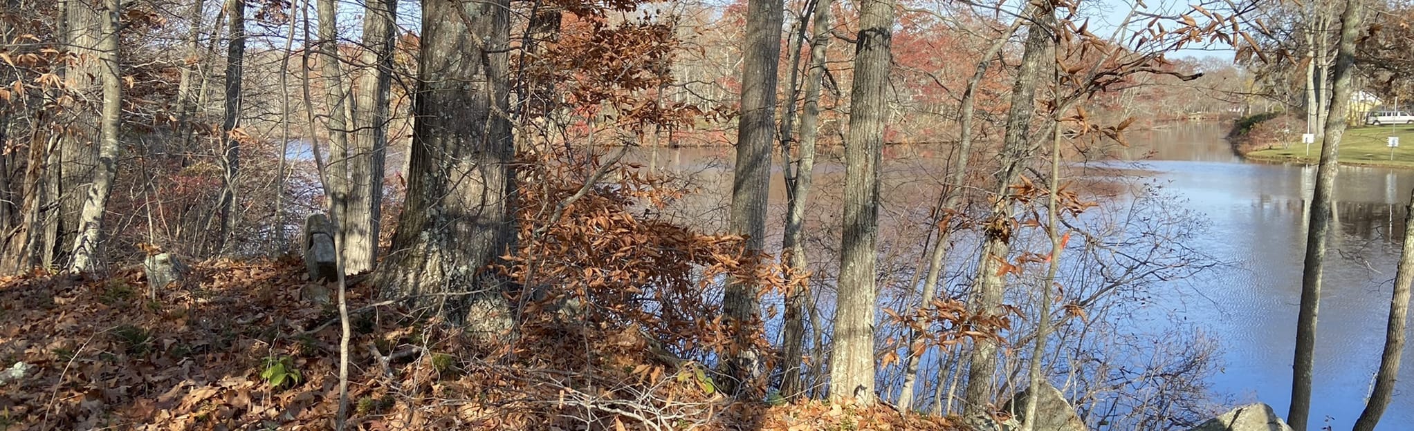 Falls River Loop: 106 Reviews, Map - Connecticut | AllTrails