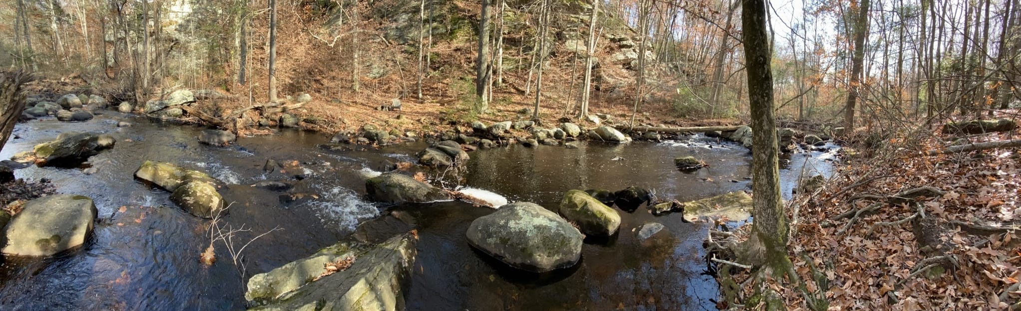 Bushy Hill Nature Preserve Loop | Map, Guide - Connecticut | AllTrails