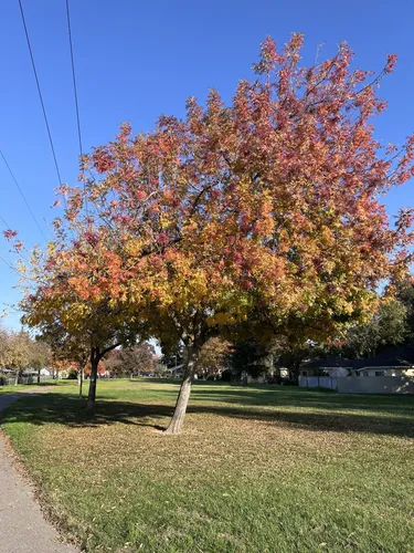 Best Hikes and Trails in Modesto | AllTrails