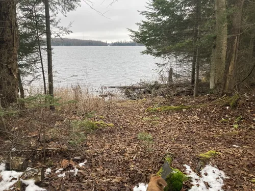 Best Lake Trails in Mont-Laurier | AllTrails