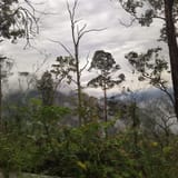 Mount Superbus Trail, Queensland, Australia - 57 Reviews, Map | AllTrails