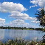 Kainui Lake Loop, Waikato, New Zealand - 99 Reviews, Map | AllTrails