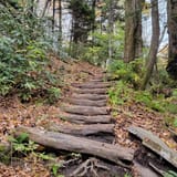 Tanawha Trail via Beacon Heights, North Carolina - 251 Reviews, Map ...