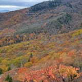 Tanawha Trail via Beacon Heights, North Carolina - 251 Reviews, Map ...