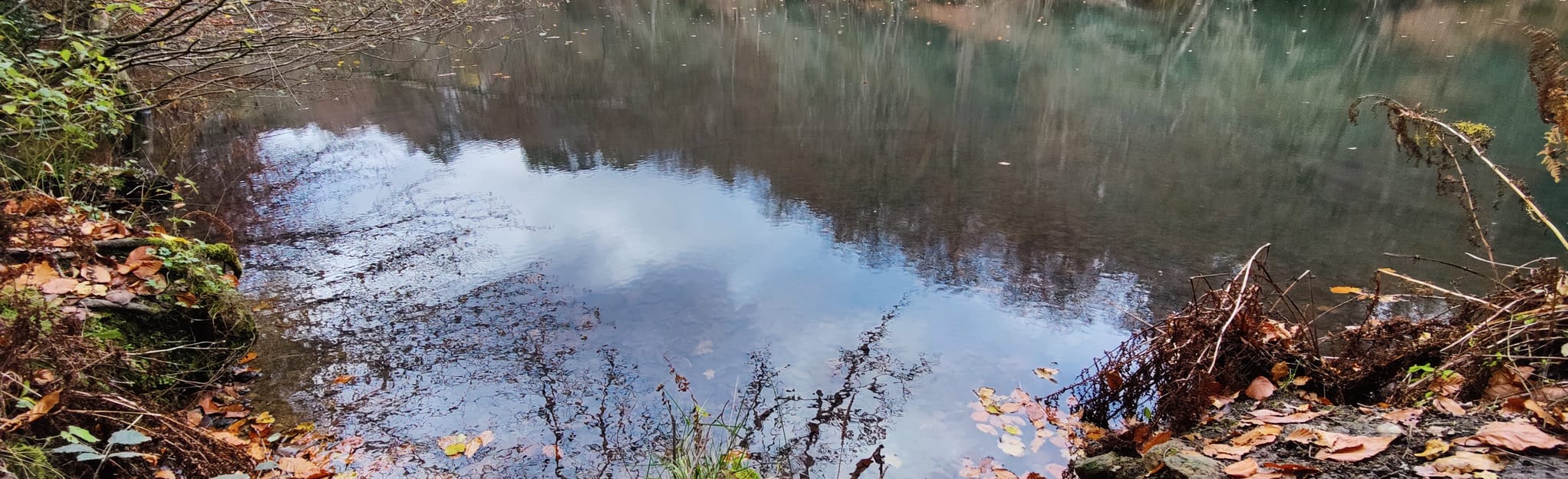 Ludshott Common Circular: 117 foto's - Hampshire, Engeland | Wandelen ...