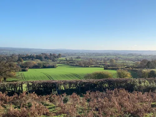 Best Walking Trails in Croft Castle and Parkland | AllTrails