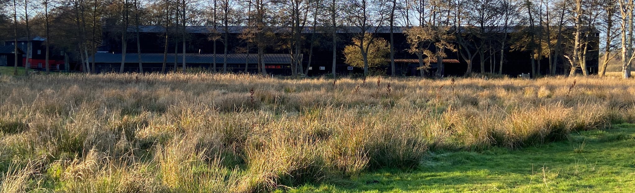 Klostermølle - Blidsø - Højlund Skov: 170 Fotos - Region Mitteljütland ...