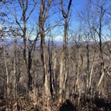 Cohutta Big Frog Mountain Loop, Georgia - 7 Reviews, Map | AllTrails