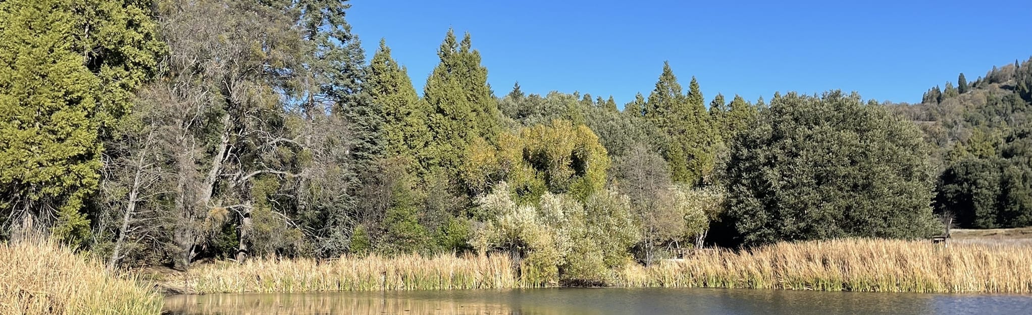 Lower Doane and Weir Trail Loop and Doane Pond, California - 202 ...