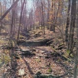 Cecil Cove Loop Trail, Arkansas - 157 Reviews, Map | AllTrails