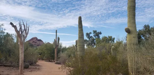 10 Best Trails and Hikes in Tempe | AllTrails