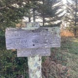 Thunder Ridge via Appalachian Trail, Virginia - 269 Reviews, Map ...