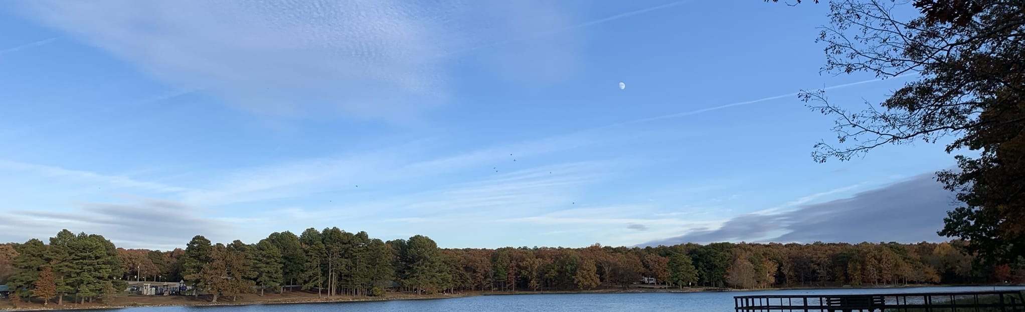 Craighead Lake Loop: 122 foto's - Arkansas | AllTrails