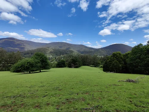 10 Best Hikes and Trails in Yarra Ranges National Park | AllTrails