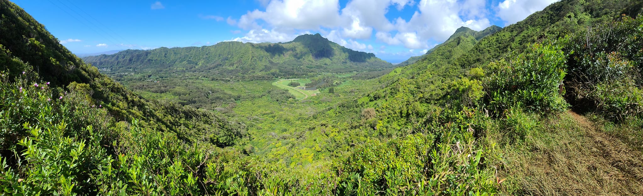 Pu'u'ohi'a Trail to Pauoa Flats, Oahu, Hawaii - 581 Reviews, Map ...