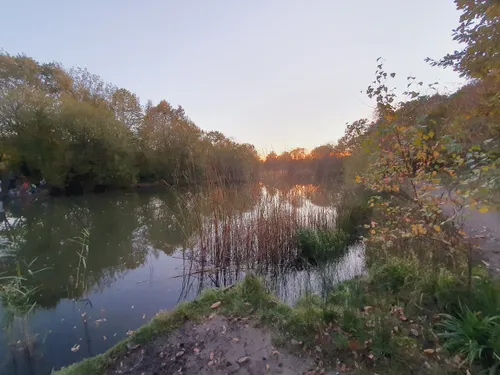 Best Hikes and Trails in Shorne Woods Country Park | AllTrails