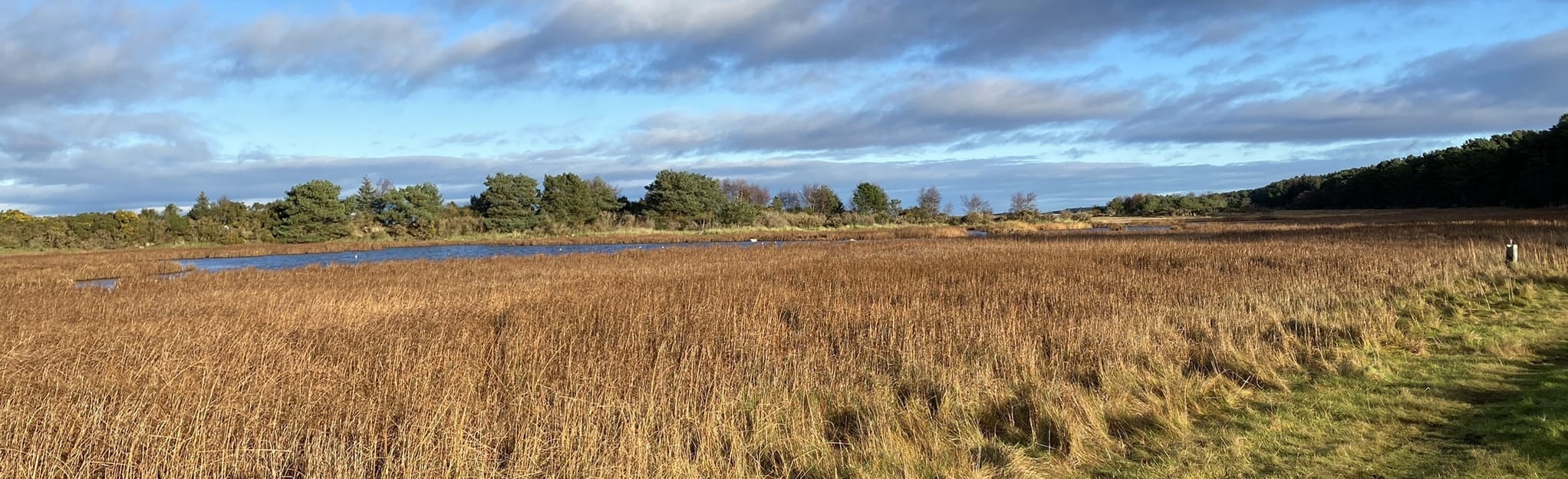 Nairn Dunbar Nature Loop: 21 Reviews, Map - Highlands, Scotland | AllTrails