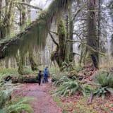Maple Glade Nature Trail, Washington - 196 Reviews, Map | AllTrails
