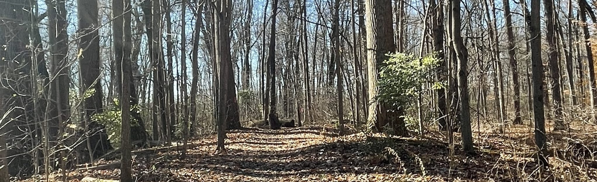 AllTrails | Baker Woodlot Loop: 78 Reviews, Map - Michigan