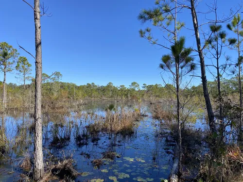 Best Hikes and Trails in Bon Secour National Wildlife Refuge | AllTrails