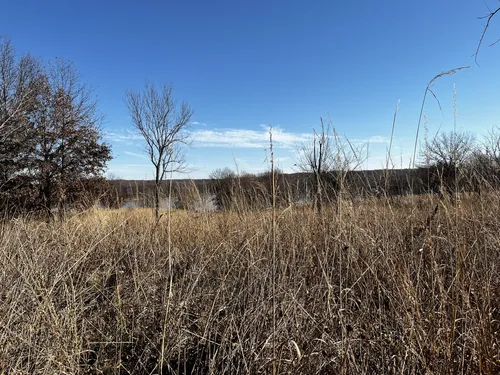 Best Hikes and Trails in Long Branch State Park | AllTrails