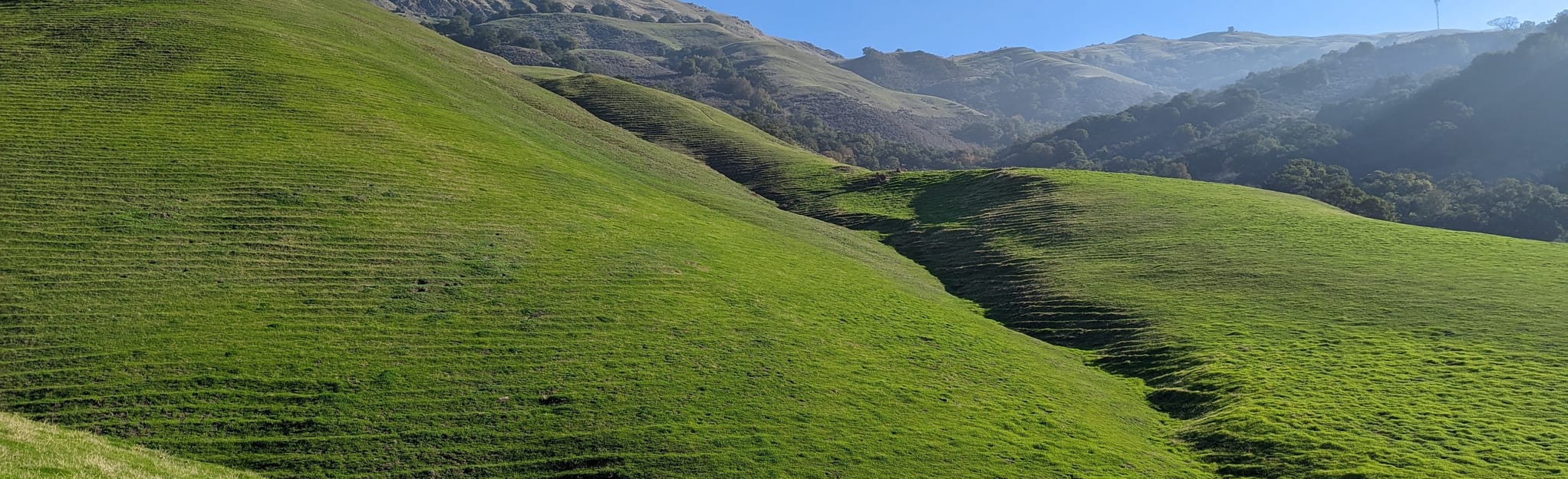 Peak Meadow Trail - California | AllTrails