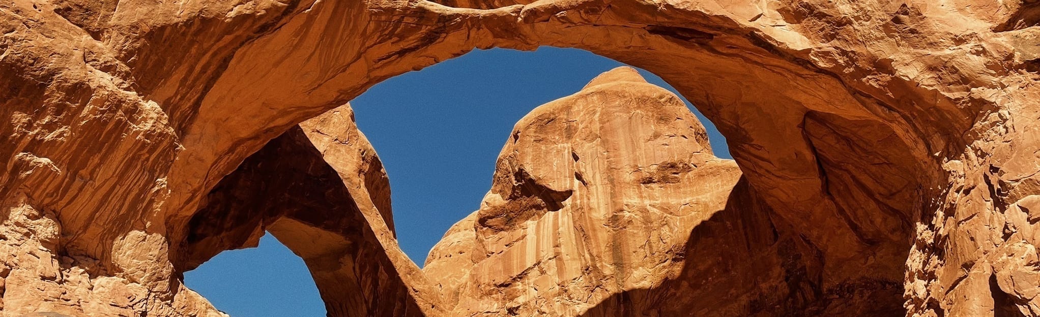 Double Arch Trail, Utah - 4,179 Reviews, Map | AllTrails